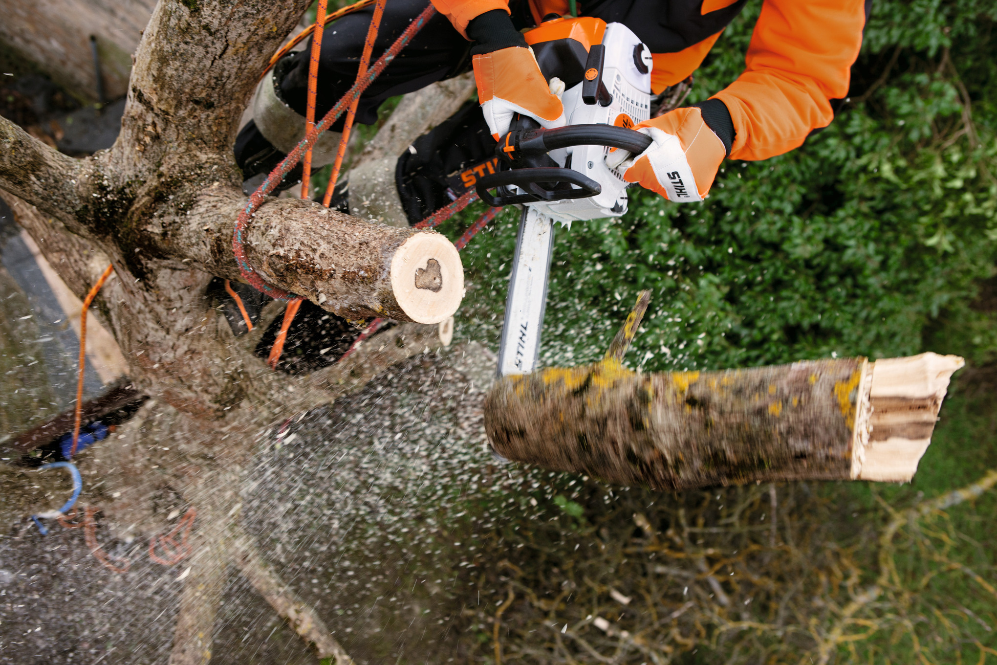 MS 201 TC-M Petrol Chainsaw | STIHL